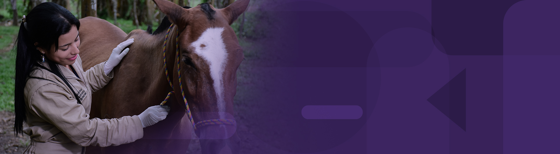 Estudiar Medicina veterinaria y Zootecnia en Bucaramanga